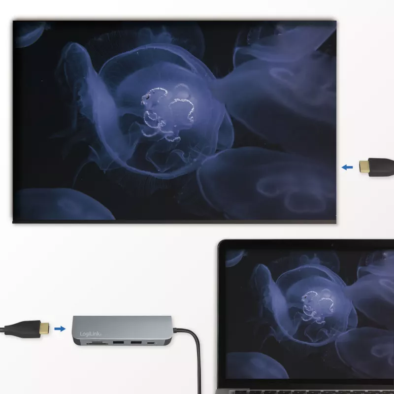 USB-C Multi-Hub HDMI/PD/DeX
