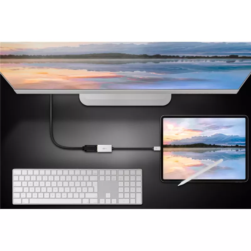 USB-C™-adapter till DisplayPort™