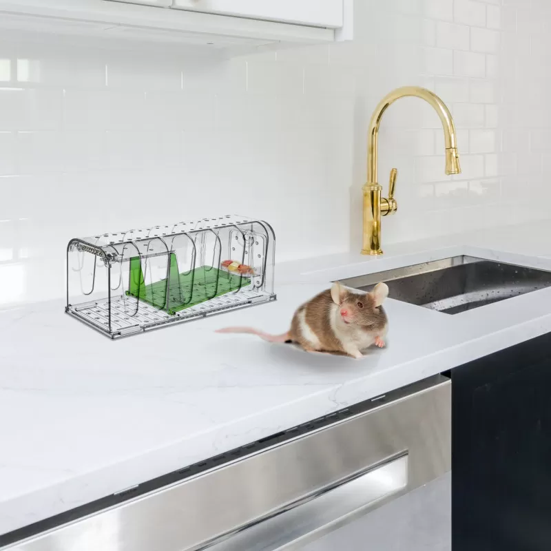 Flip Mouse Trap Box 2-pack