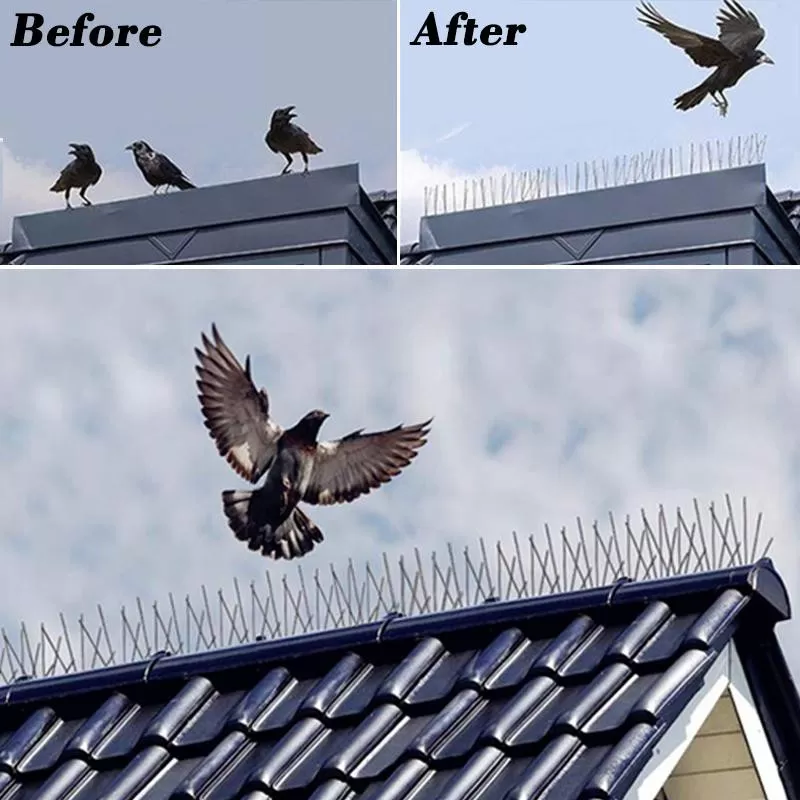 Fågelpiggar - inga fler fågelbon & bajs 10-piggar