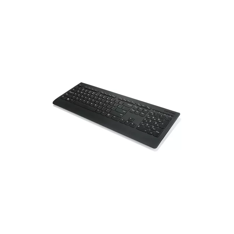 INF Lenovo Professional Keyboard 4X30H56874 Tangentbord, Trådlöst,
