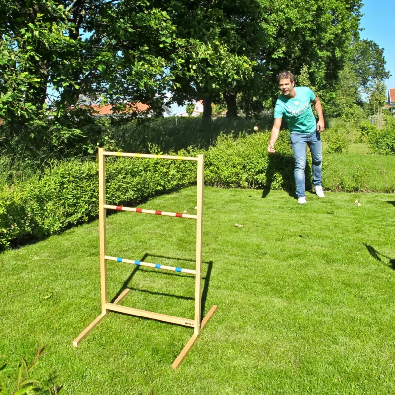 Spin Ladder Original