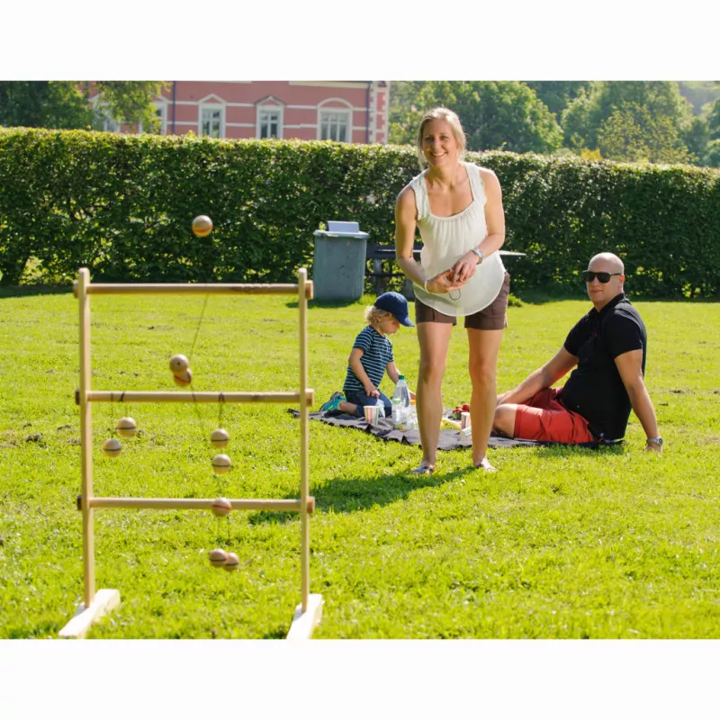 Spin Ladder Original