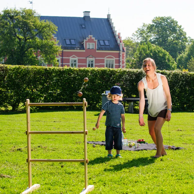 Spin Ladder Original